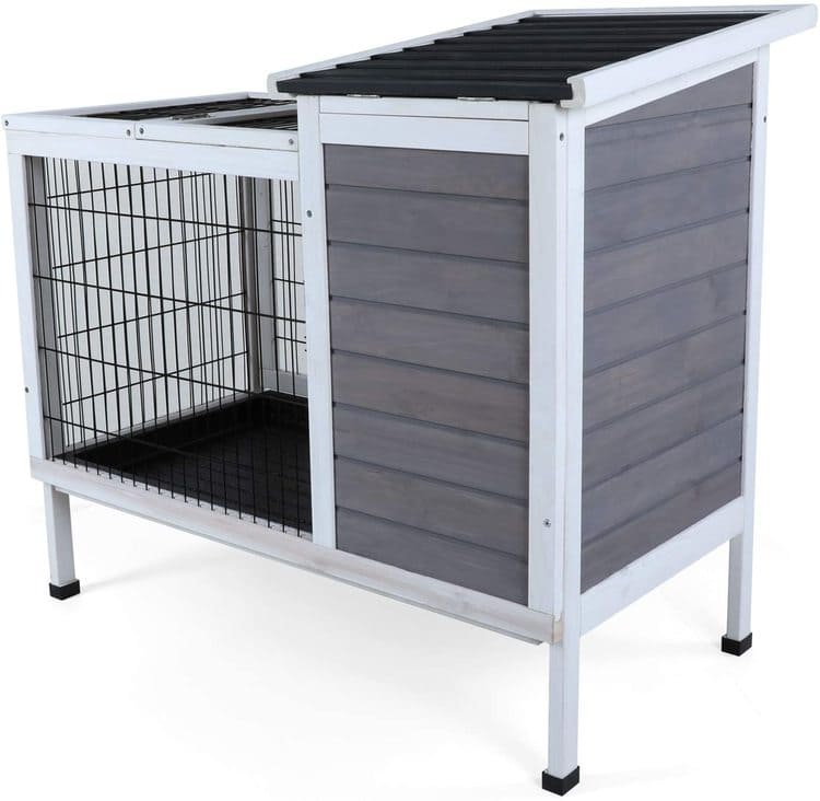 List of Best Rabbit Cage in 2020 - Comparison Table Included